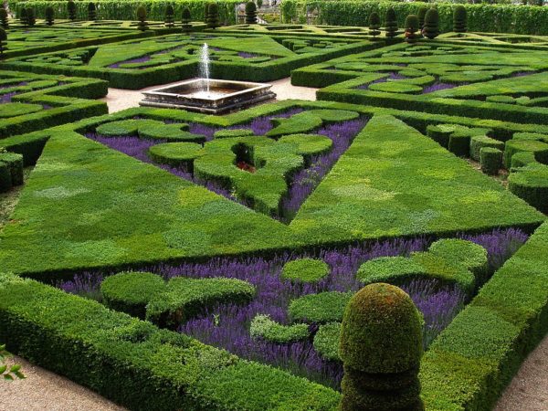 Elements of French Garden Design - Eye of the Day