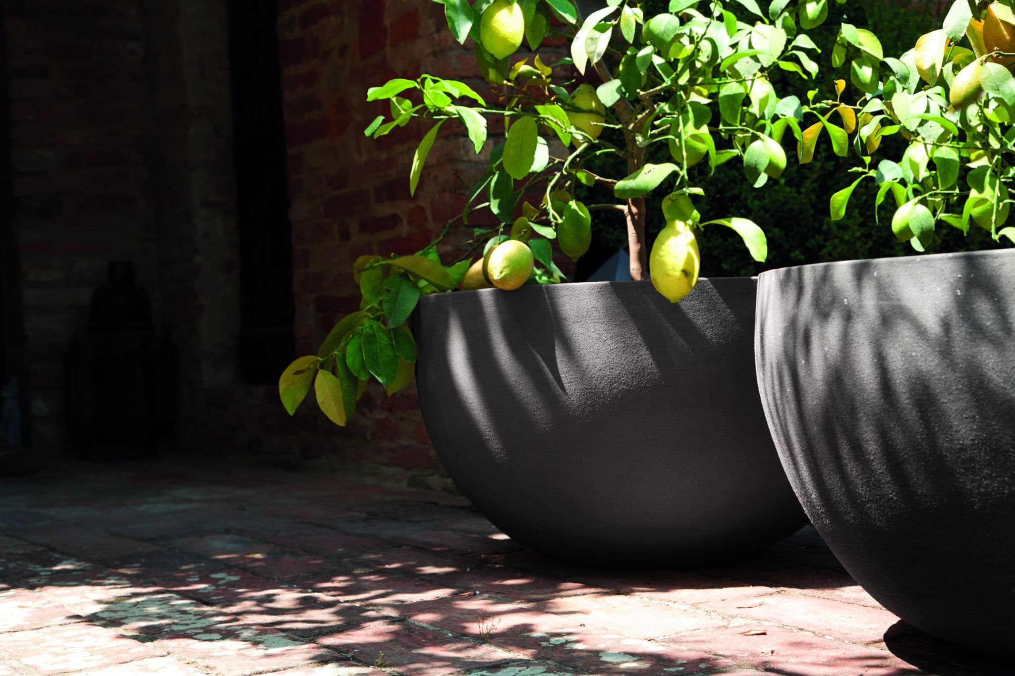 Italian Contemporary Planters & Pots - Eye of the Day