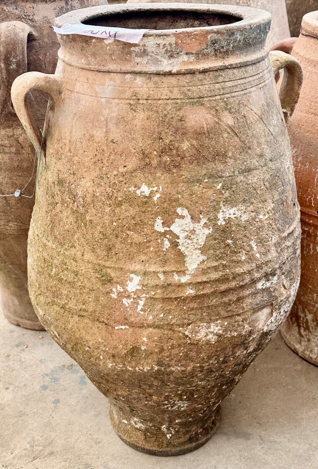 Vintage Greek Pithari GVM11 - Eye of the Day Garden Design Center