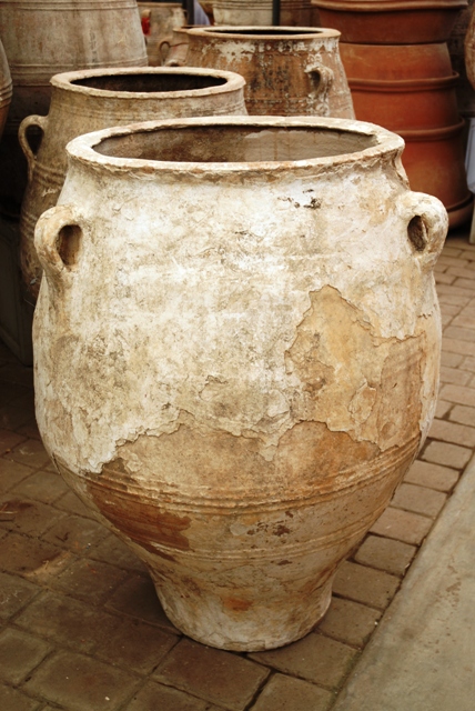 A Little Greek Jar - Eye of the Day Garden Design Center